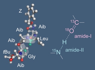 Nien-Hui Ge Group, UCI Chemistry, Research